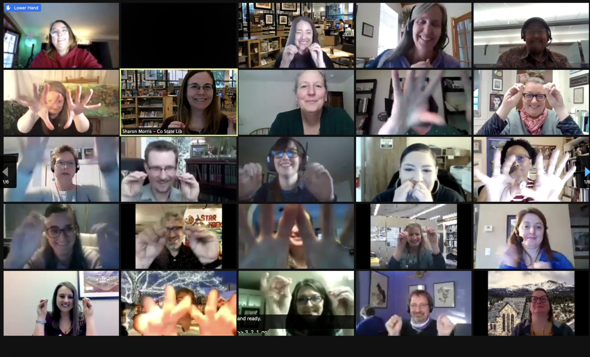 The Human RIPL, Virtual Version – RIPL 2020